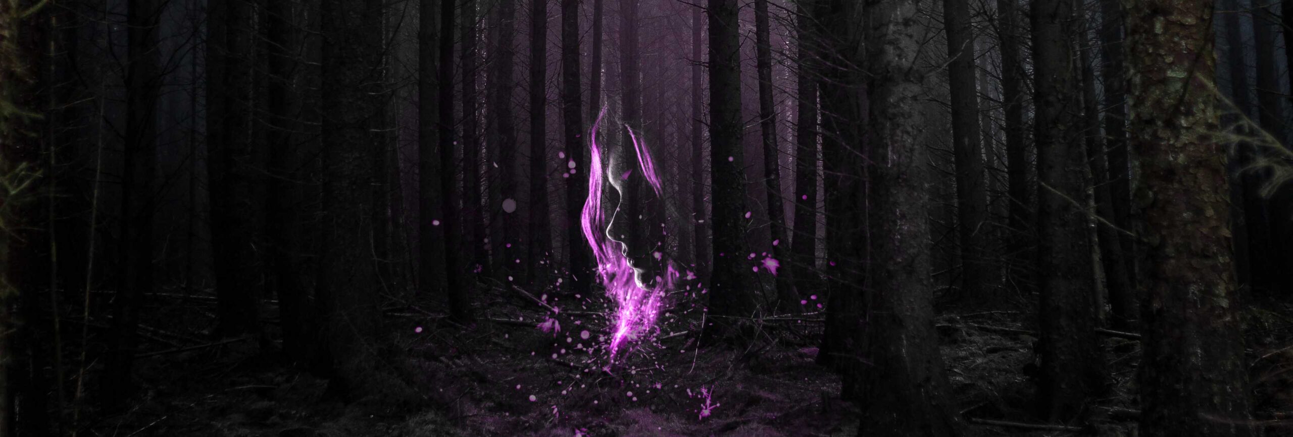 Midnight Stroll - Nirmala Nataraj