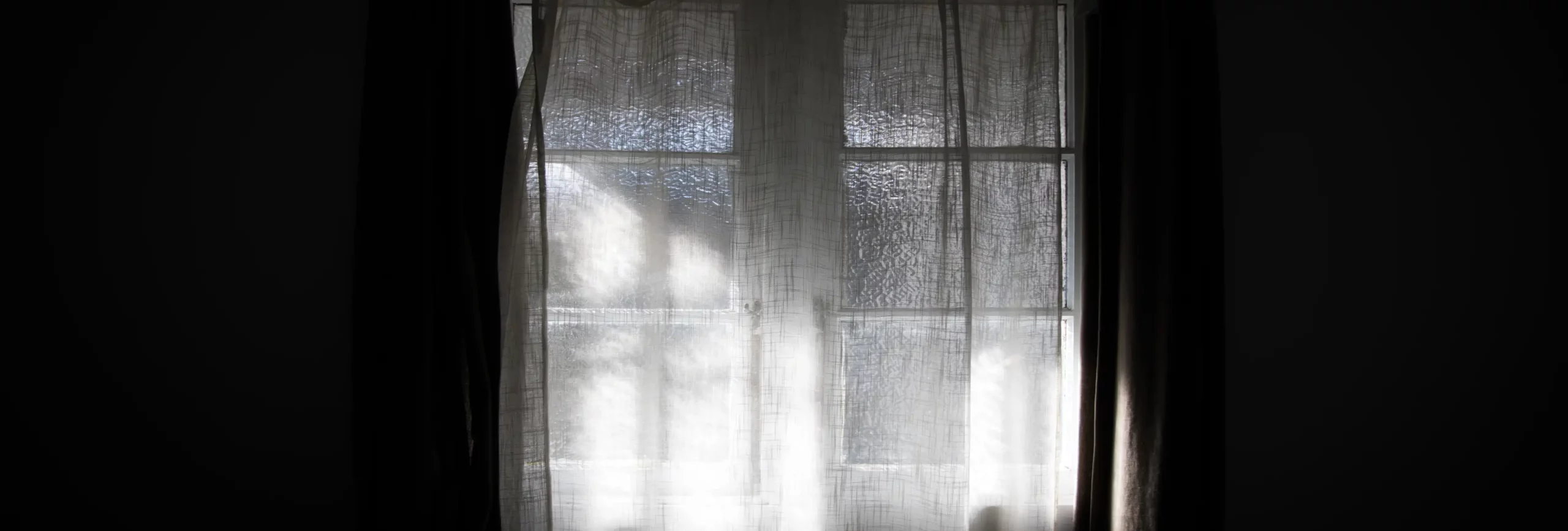 The Haunted Closet and the Bathroom - Nirmala Nataraj